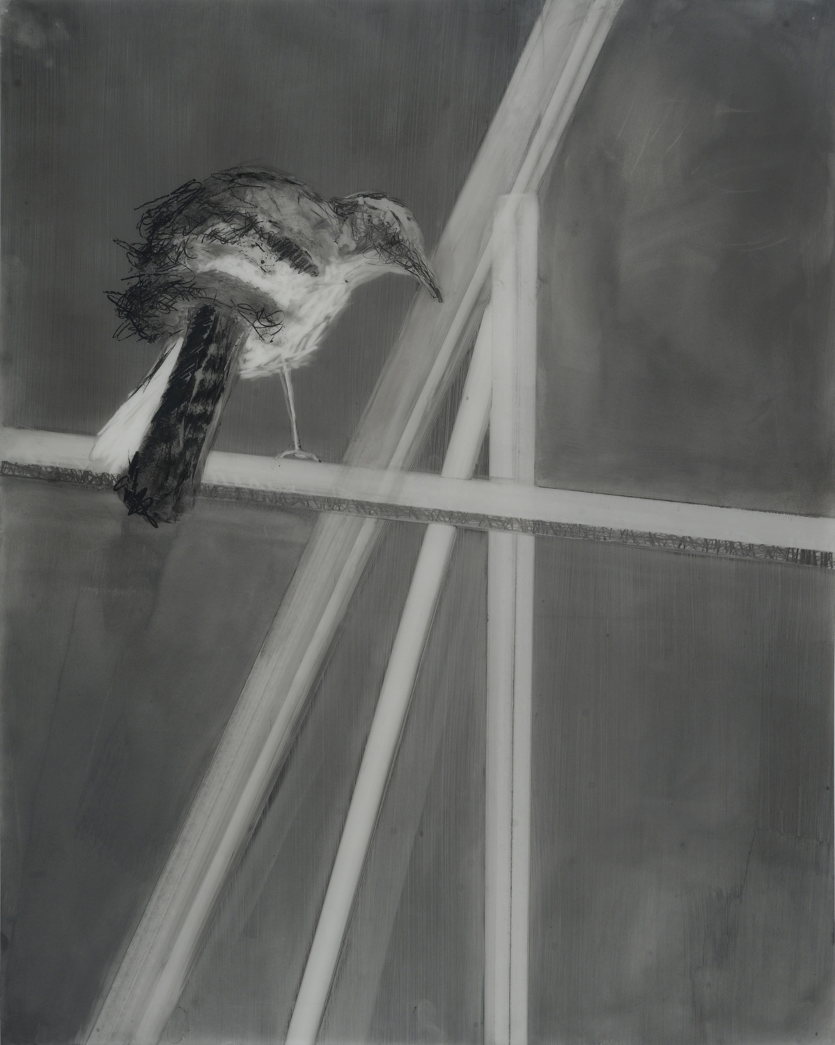 Mockingbird I – GUT GALLERY