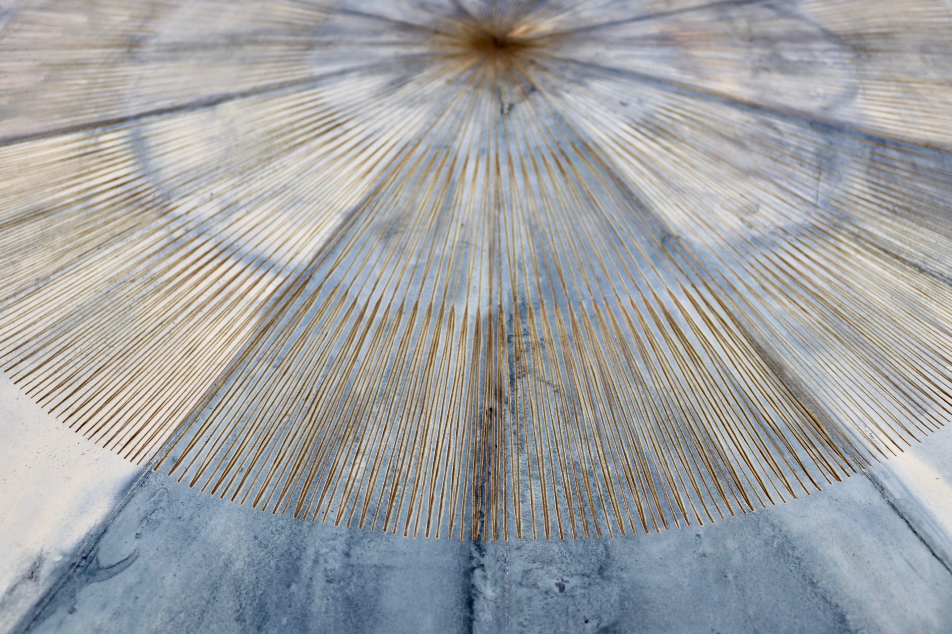 Ramified – GUT GALLERY