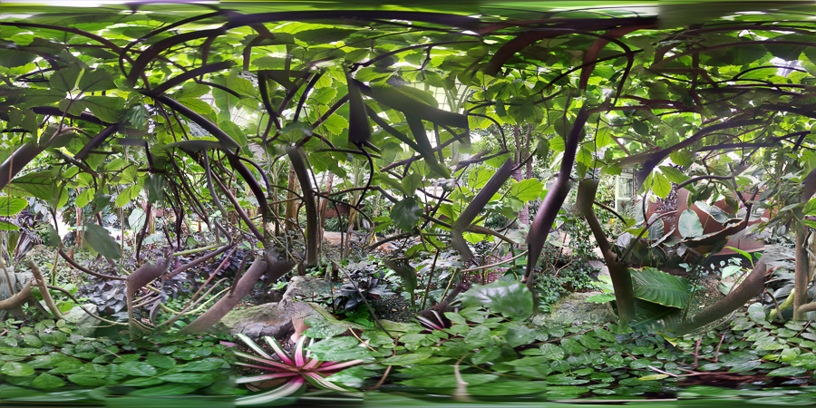 Garfield Park Conservatory, Chicago, IL – GUT GALLERY