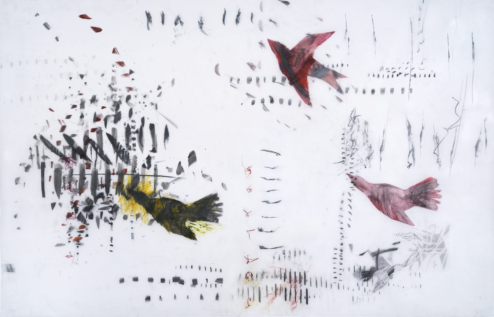 Disrupted Migration – GUT GALLERY