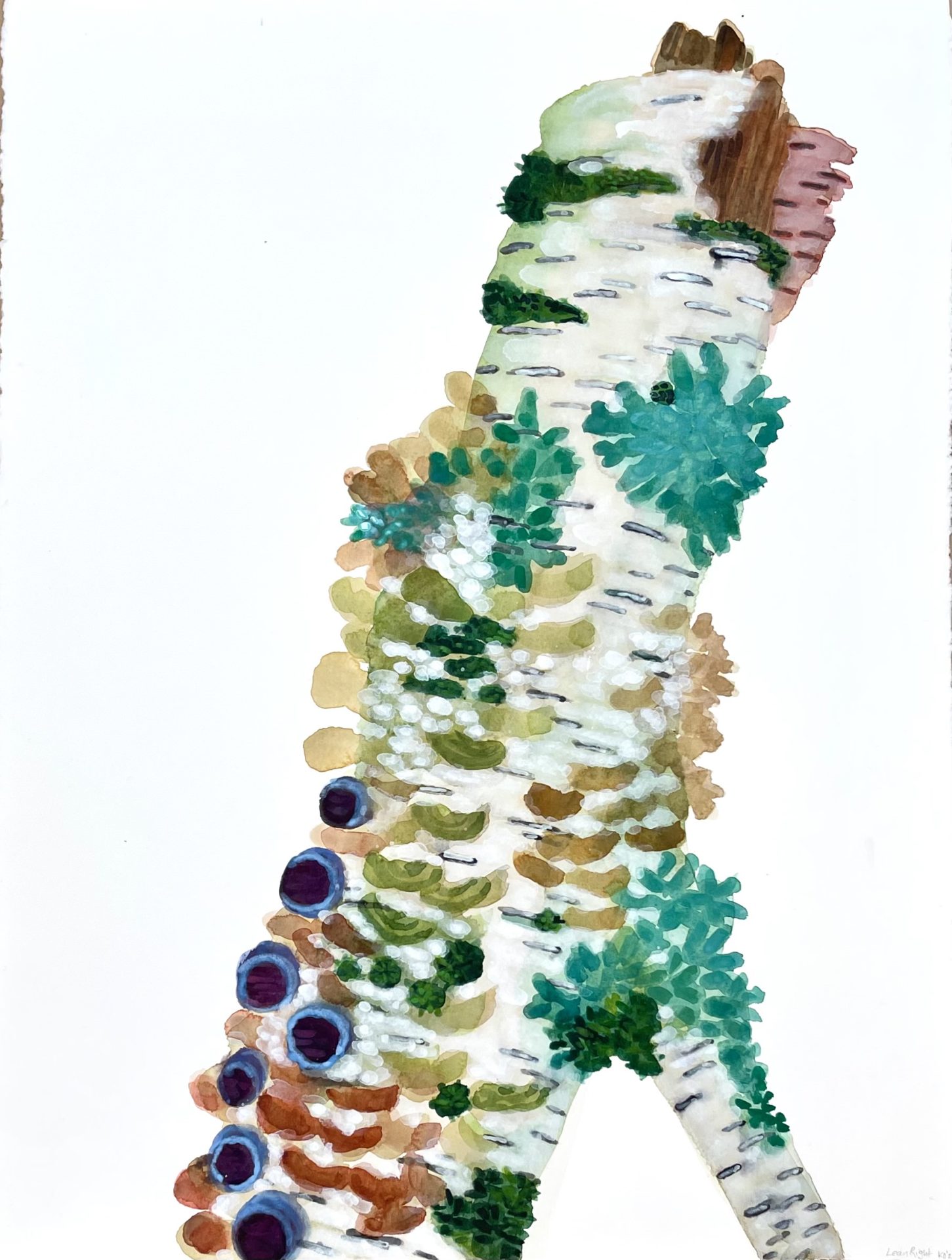 Lean Right – GUT GALLERY